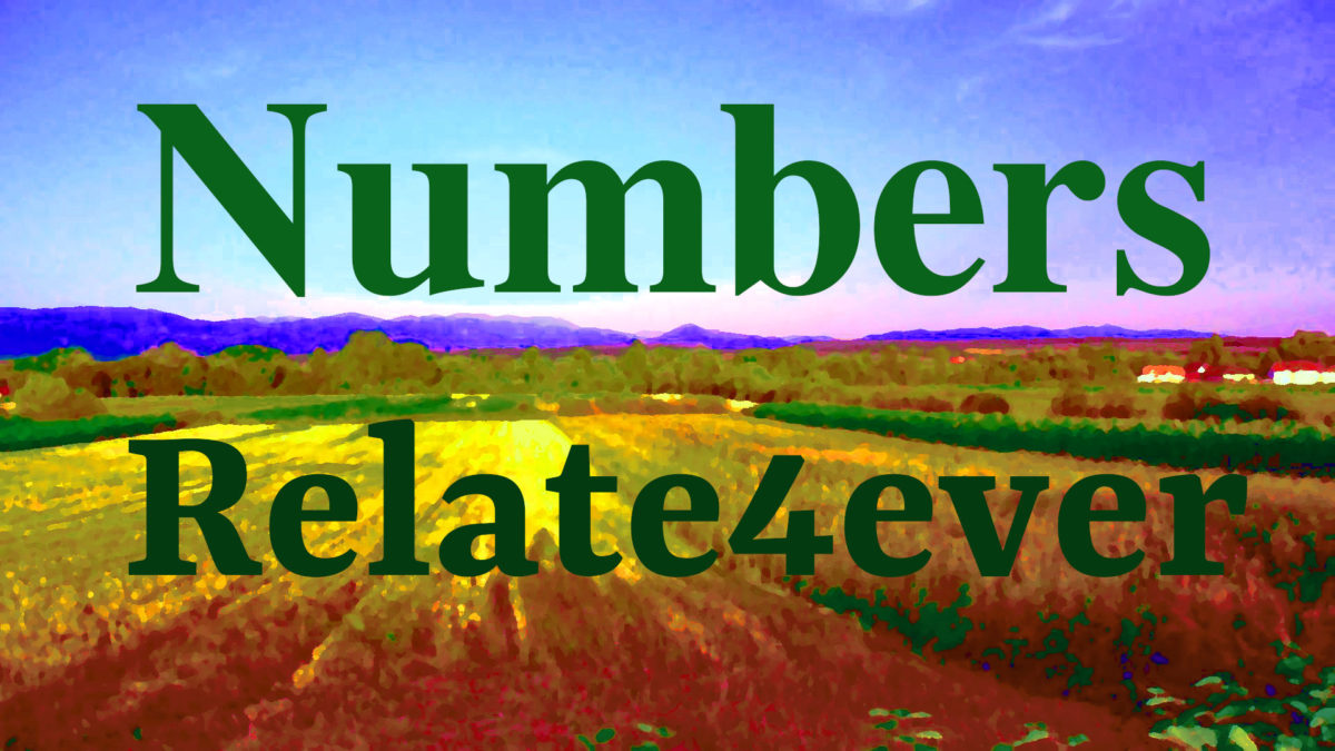 Numbers In the Wilderness – Relate4ever Resources